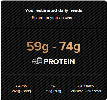 Protein Calculator – Calculate Your Protein Intake